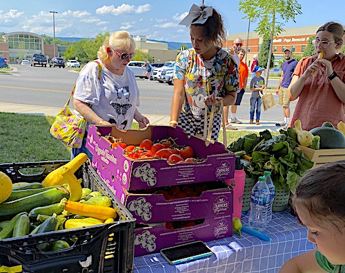 Free Market Fridays offers free, fresh produce | Health | PVN